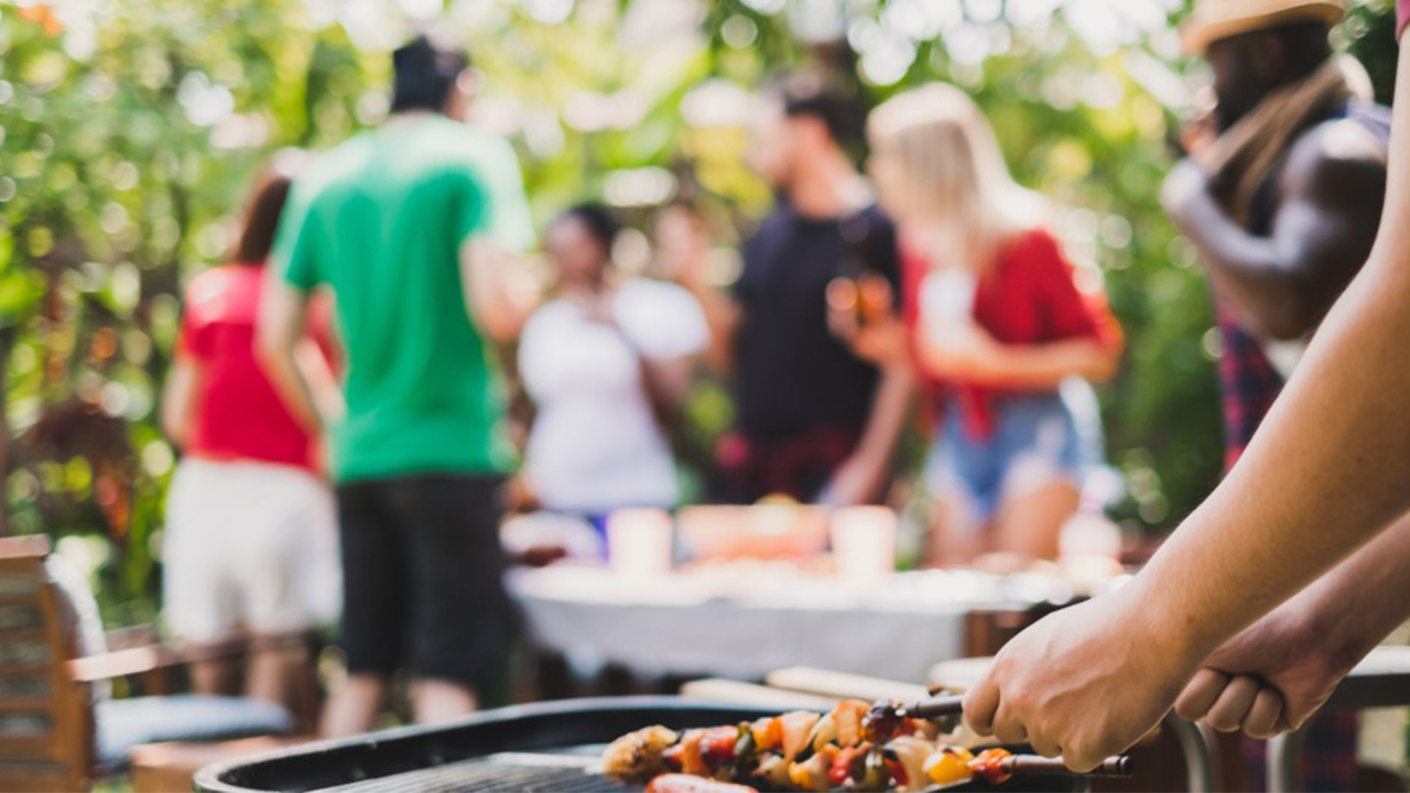 How to Keep Bugs Away From Your Backyard BBQ Activity - MosquitoNix Atlanta