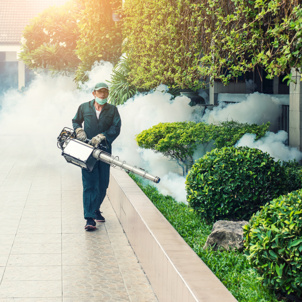 Mosquito Yard Fogging: FAQs - From Effectiveness to Safety ...